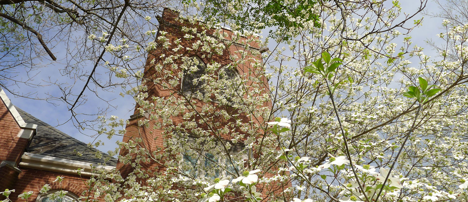 First Presbyterian Church - Lebanon, Tennessee